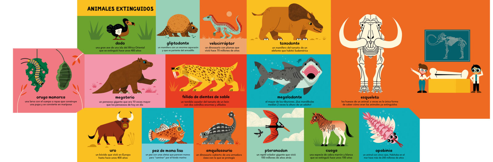 Mi primer libro de animales - Coco Books