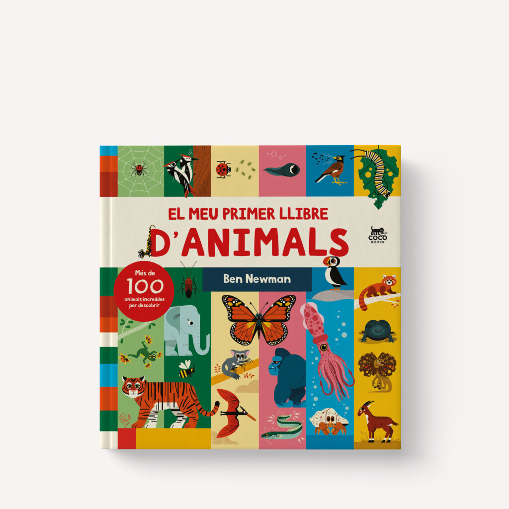 ACTIVIDADES archivos - Coco Books